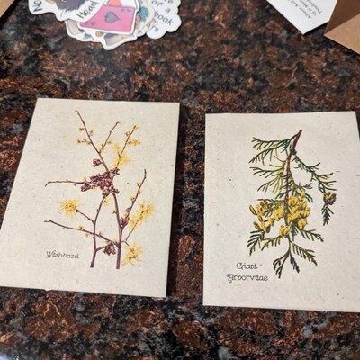 Seed Paper Cards Blank or Personalized Insert Hand Drawn Eco-friendly ...