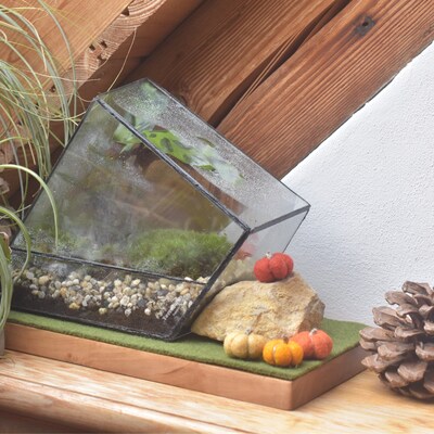 Handmade Waterproof Glass Terrarium Container 'zero' - Etsy