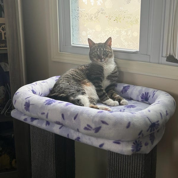 Rectangle Cat Window Perch Cover, Cat Window Hammock Mat, Replacement ...