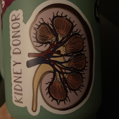Detailed Kidney Donor Sticker, Hand-drawn Kidney Anatomy Sticker ...