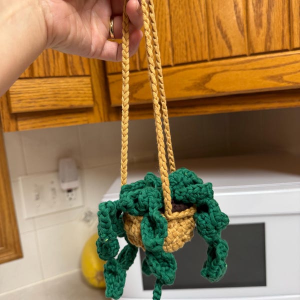 Tiny Pothos Crochet Pattern Bundle Pothos Jade, Monstera and String of ...