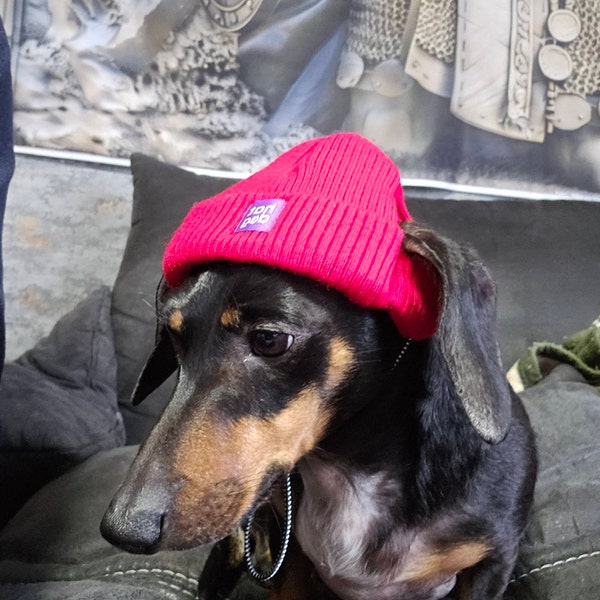 Corduroy Dog Cap – Stylish Dog Baseball Hat With Ear Holes | Adjustable ...