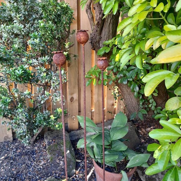 Set of 3 Rusty Poppy Seed Head Pattern Naturally Rusting Ornamental ...