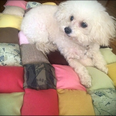 PDF Amish Knot Rag Rug Tutorial Round Rug & Oval Rug - Etsy Australia