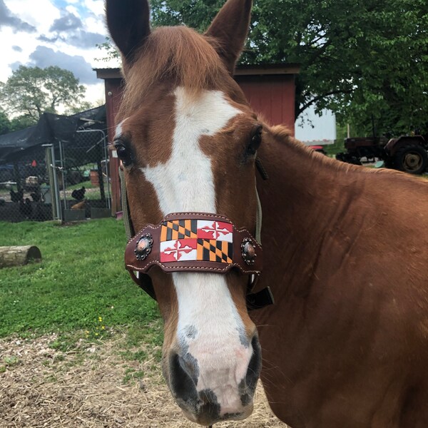 Custom Nylon Bronc Halter Stronger Design Than Tab Style - Etsy