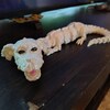 Neverending Story Sparkle Falkor Flexi Articulated Fidget Toy Prop - Etsy