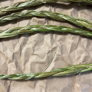 Pure Labradore Tea Also Known as Muskeg Tea or Muskego Tea. 4 Size ...