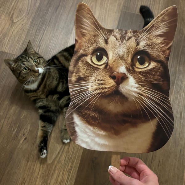 120 Anime Meme Animated Emote Pack for Youtube, Twitch, Discord, Tiktok ...