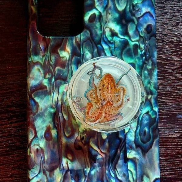 Abalone Shell Design Phone Case for iPhone 17 16 15 14 13 12 11 Pro Max ...