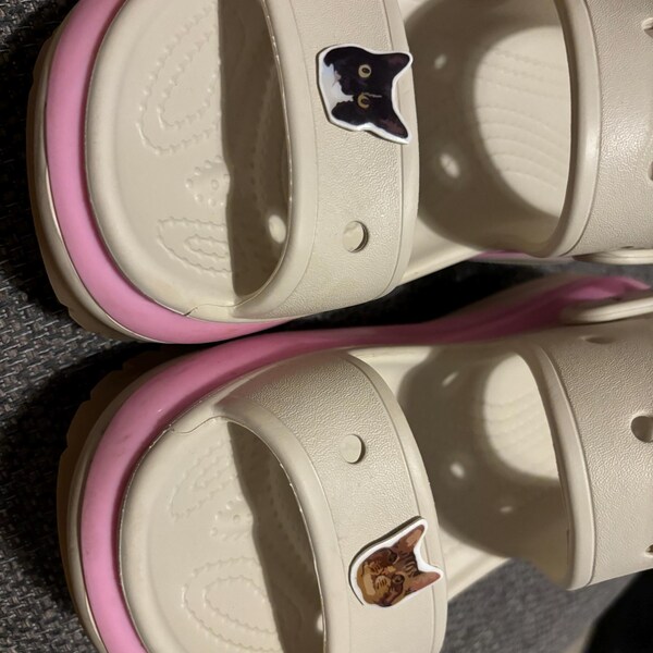 Powerpuff Girls Fairy Crocs Jibbitz Chams Shoe Accessories - Etsy UK