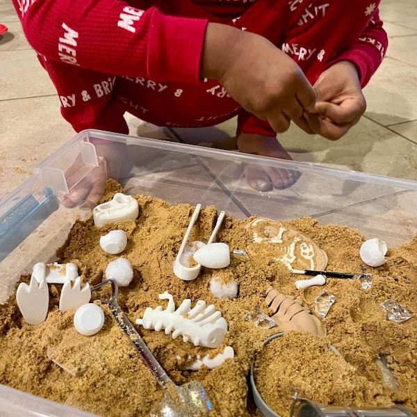 Dinosaur Fossil Dig Sensory Bin - Montessori Excavation Activity Kit ...