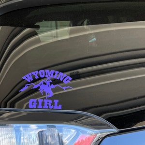 Mud Princess Two Color Vinyl Decal Sticker Mudding SXS ATV - Etsy