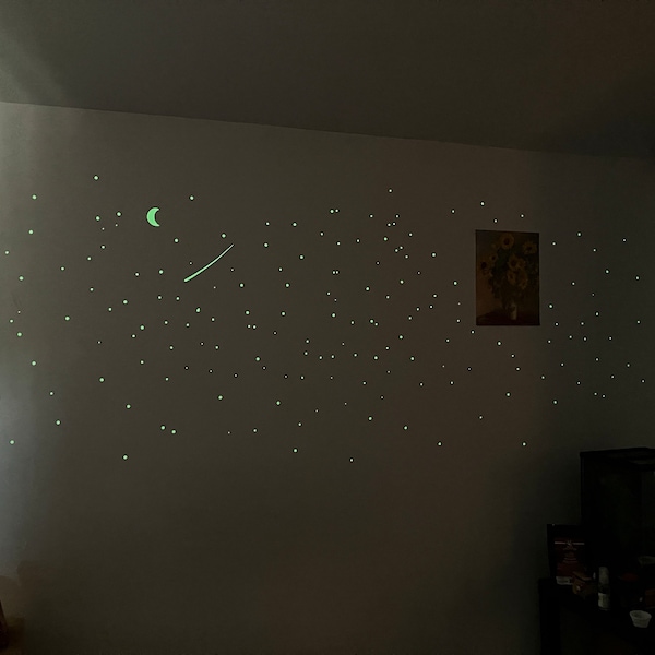 FREE Same Day Shipping! THE Most Luminous Glow in the Dark Ceiling ...