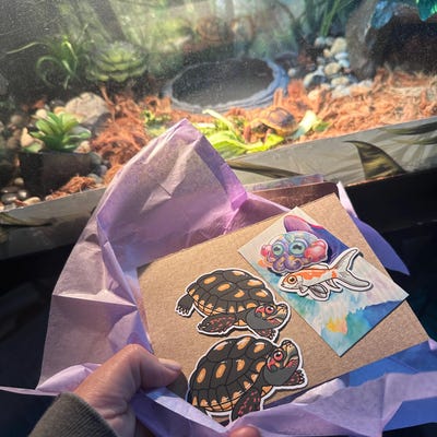 Watercolour on Wood Rainbow Ball Python Snake Print - Etsy