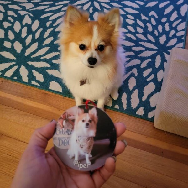 Caitlin Clark Sticker / Decal, Indiana Fever Sticker / Decal, #22 Point ...