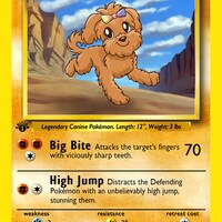 Your Pet as a Pokemon Card - Etsy