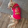 Customizable Pet Shirt: Create a Unique Look for Your Pet Personalized ...