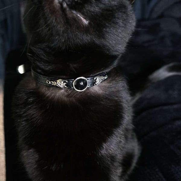 Witchy Cat Collar With Vampire Bat, Adjustable - Etsy
