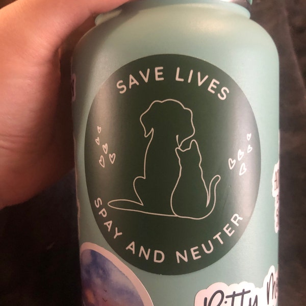 Cat / Kitten Medical Intake Form (medication List, Health Checklist ...