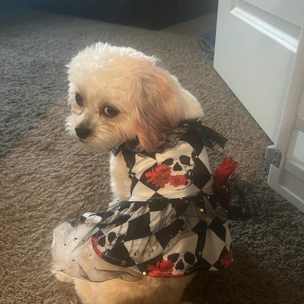 Festive Grinch-inspired Cape for Your Furry Friend, Fleece Dog Jacket ...