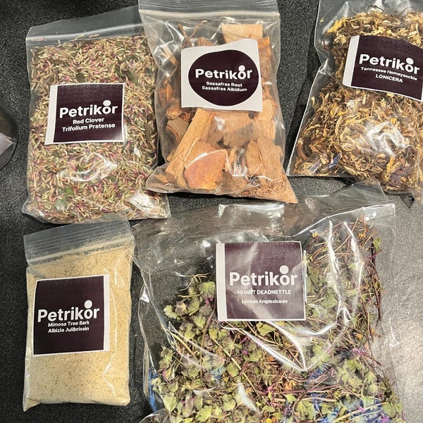 Mimosa Tree Bark (albizia Julibrissin). Mimosa Tree. Tree of Hapiness ...