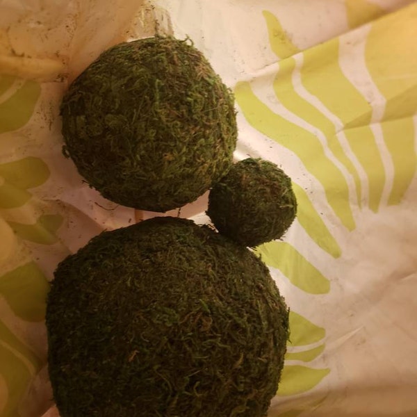 Moss Balls-decorative Sphere Orb for Vase Bowl Fillers or Dough Bowl ...