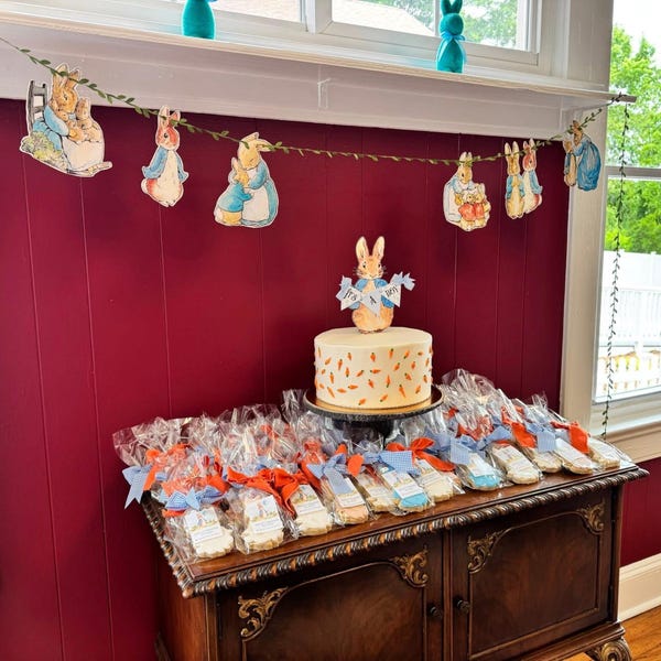 Peter Rabbit Heat Transfer Set for Crafts, Pillow, Shirts - Etsy