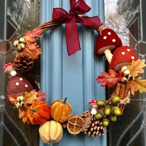 Dried Conkers Conkers in Shells dried Natural Conkers | Etsy