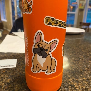 Peppered Cory Catfish Sticker Corydoras Paleatus Vinyl - Etsy