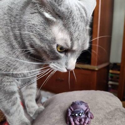 Wickedwing Dragon hatchling Dragon Tadling Articulated Fidget Toy 3D ...