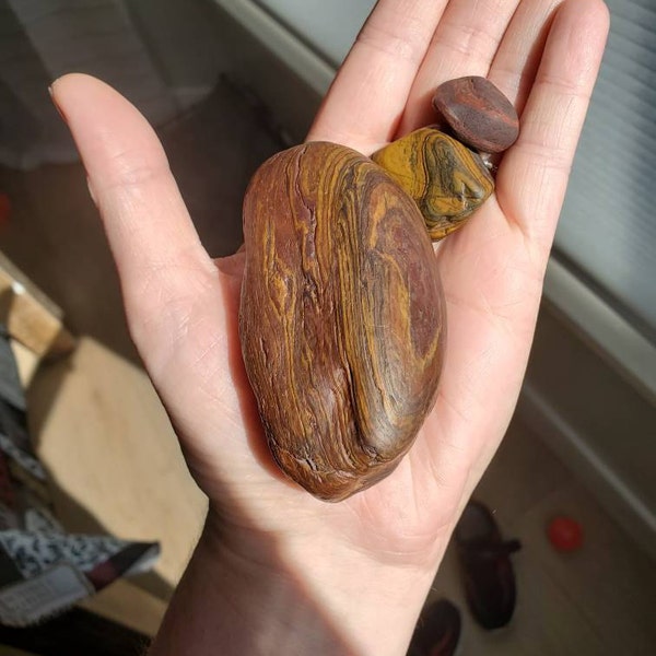 Banded Ironstone MAGNETIC Genesis Stone T27 Wyoming BIF Iron Hematite ...