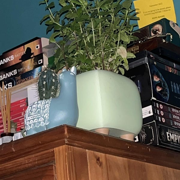 Rounded Cube Pot, Planter, Pot With Feet, Coloured Pot, Indoor Plant ...