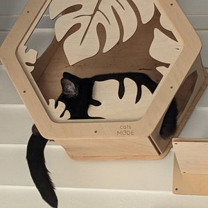 Cat Wall Mount Furniture, Cat Wall Bed, Wooden Cat Hexagon Shelves ...