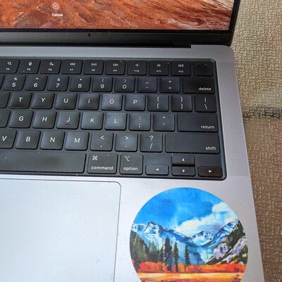 COHO SALMON, Vinyl Sticker, Fish Art - Etsy