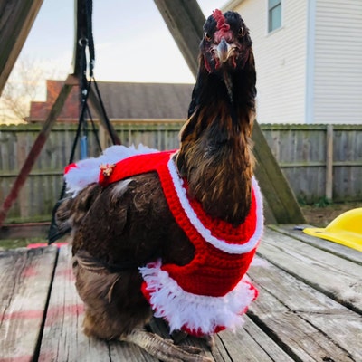 Chicken Sweater Crochet Pattern - Etsy