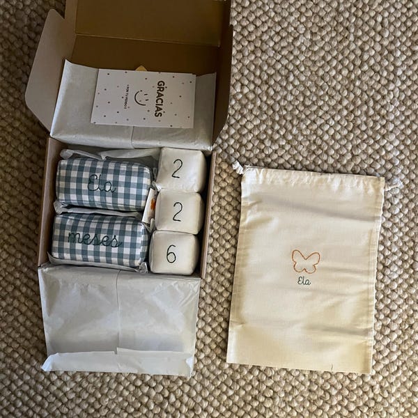 Month Markers Blocks With Light Blue Checkered Print - Age Milestone ...