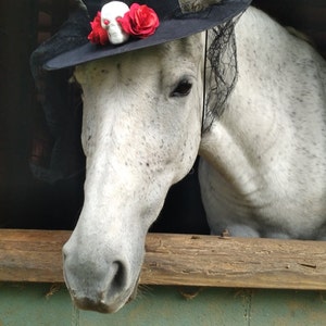 Dragon Slayer Horse Chanfron Face Armor in Silver Medieval | Etsy
