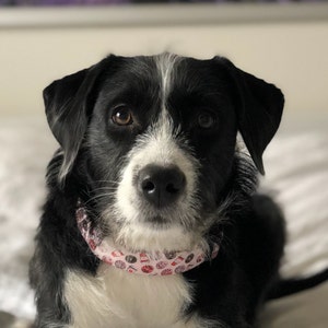 Customized Dog Quotes Coffee Mugs | Etsy