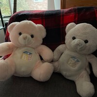 Build a Bear beary Fairy Pastel Rainbow Teddy Bear Plush - Etsy