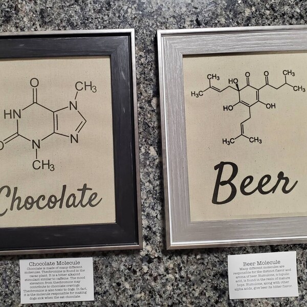 Darwin Tree of Life Print on Canvas - "i Think" Evolutionary Tree Print ...