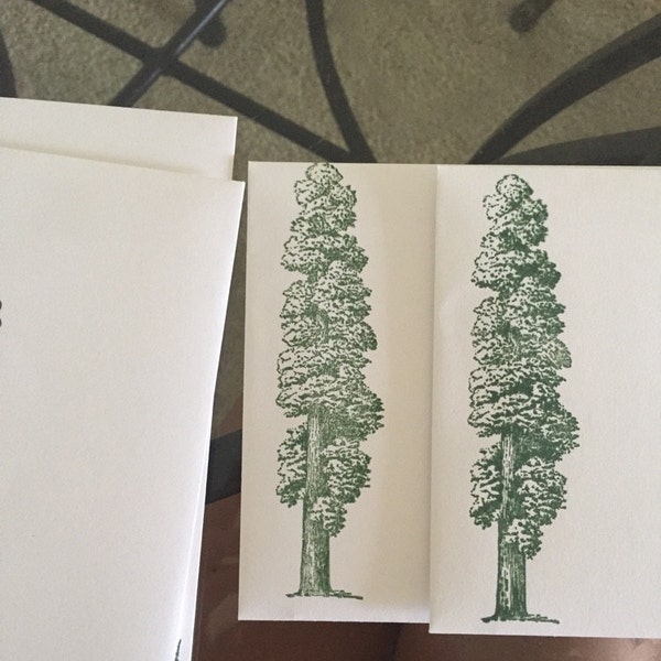 Redwood Tree 869M Beeswax Rubber Stamps Unmounted, Cling, Mounted Stamp ...