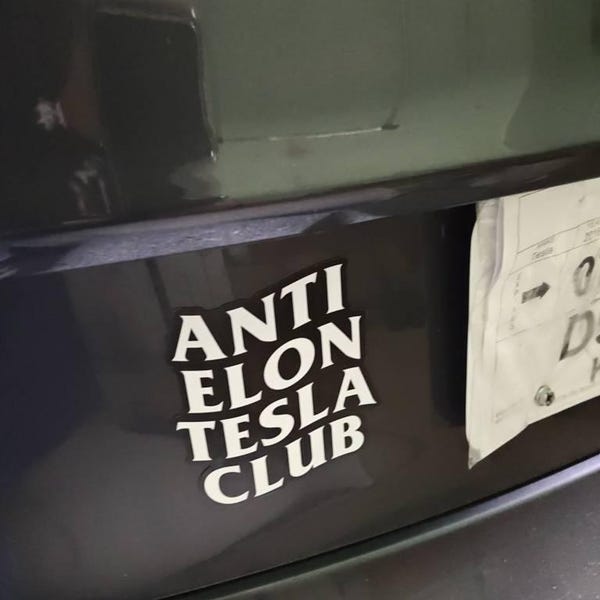 Tesla Owner Bumper Sticker, I Bought This Before ELON WENT CRAZY, Tesla ...