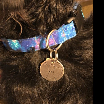 Dog Collar Galaxy Dog Collar Space Dog Collar Space Age - Etsy