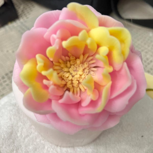 African Violet Silicone Mold. Saintpaulia Flower Silicone Mold. 3d ...