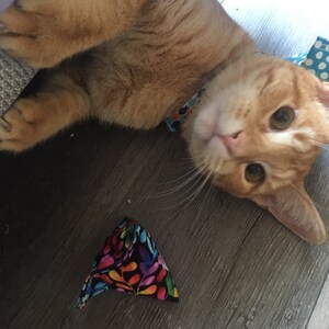 Cat Fin 5 Pack FIVE 5 Cheerful Assorted Cat Pyramid Toys Organic Catnip ...