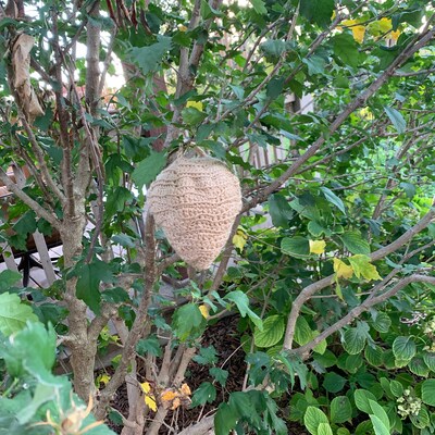 PDF Crochet Hornet Nest Pattern, Wasp Nest Pattern, Outdoor Crochet ...