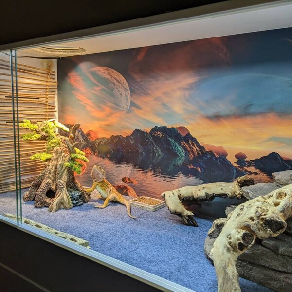 Sci-fi Background Petbackdrops - Terrarium Background - Aquarium ...