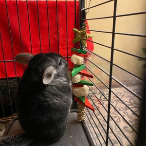 Petal Piñata Chinchilla / Rat / Degu / Rabbit / Guinea Pig / Hamster ...