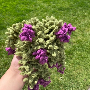 Crochet Vines With Dangling Flowers Pattern - Etsy