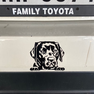 Labrador Decal Peeking Labrador Decal Labrador Sticker Peeking Labrador ...